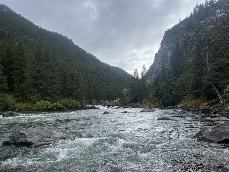 2025 Madison River Rafting Guide + Map